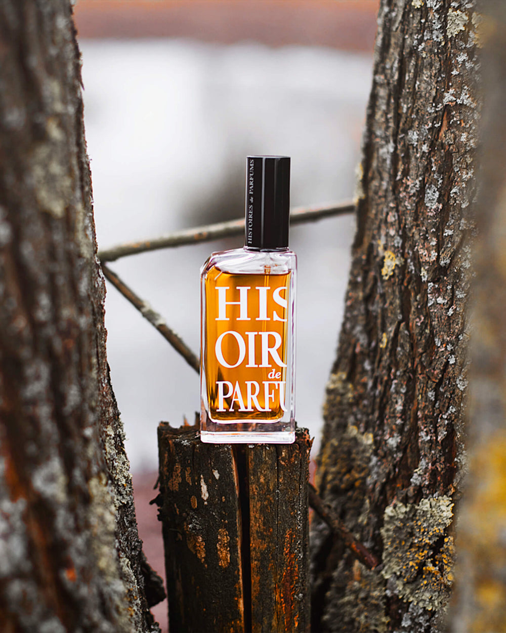 1740 - Spicy Woody Leather Eau de Parfum - Histoires de Parfums